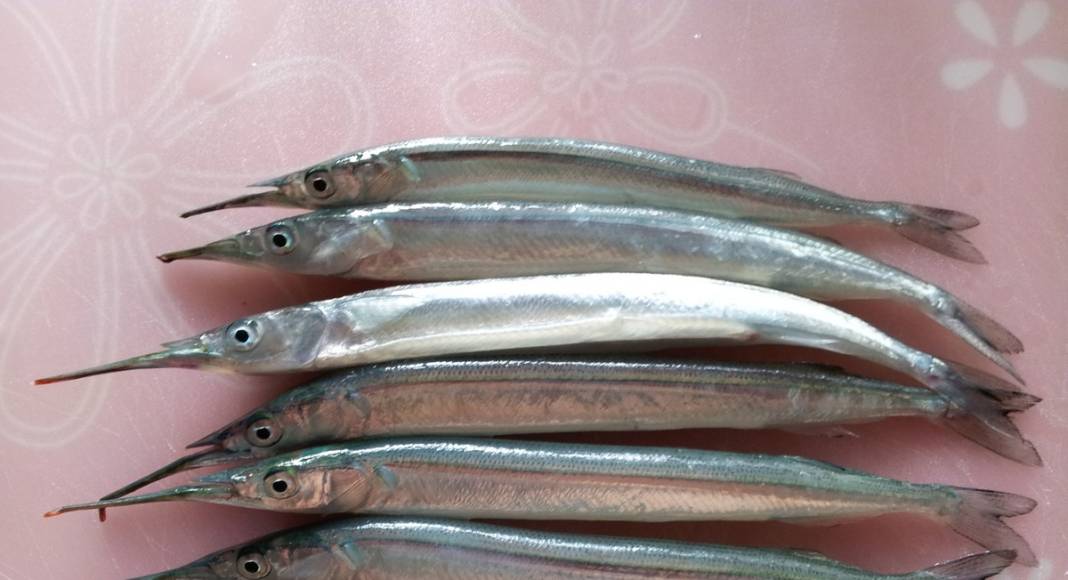 La Tradizionale Pesca Che Si Svolge Nel Mezzogiorno D'Italia