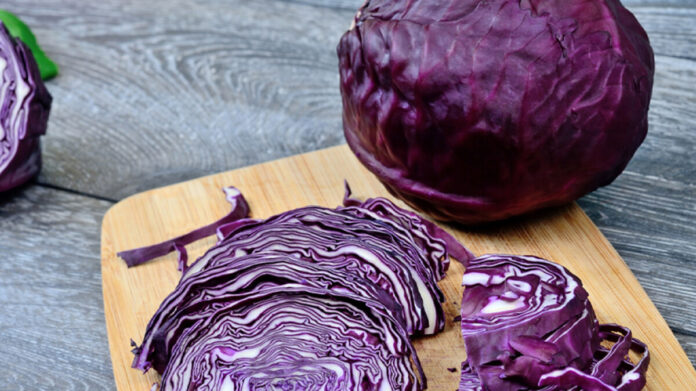 Cavolo cappuccio rosso, dall'antipasto al contorno: ecco alcune ricette ...