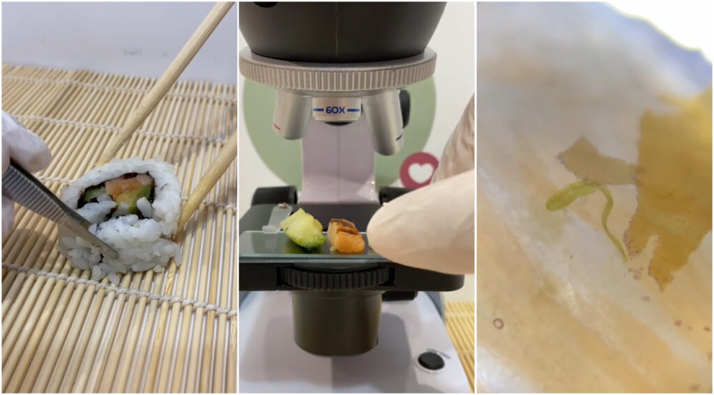 Sushi, scienziato lo analizza al microscopio: ecco cosa c'è 'dentro'